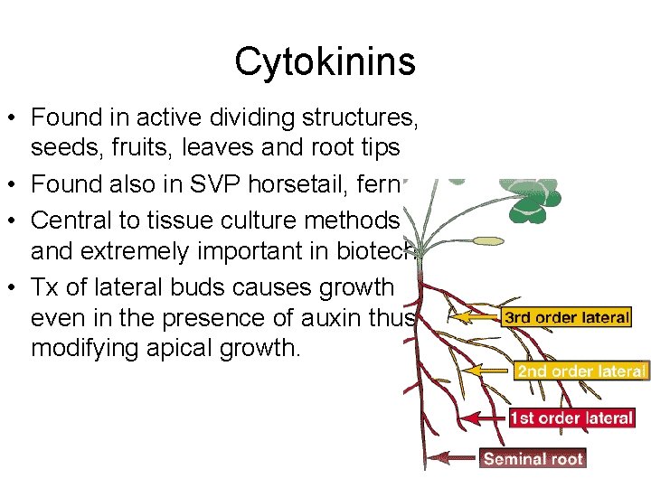Physiology of Seed Plants Regulating Growth and Development