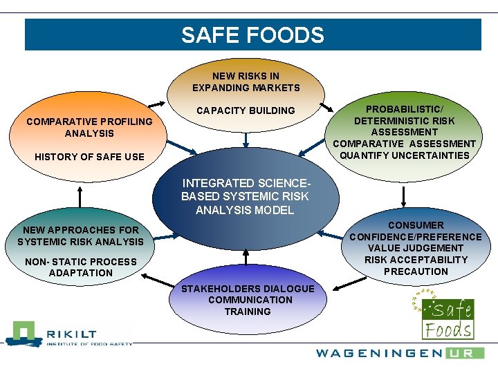 Food Safety Risk Assessment Dr H J P