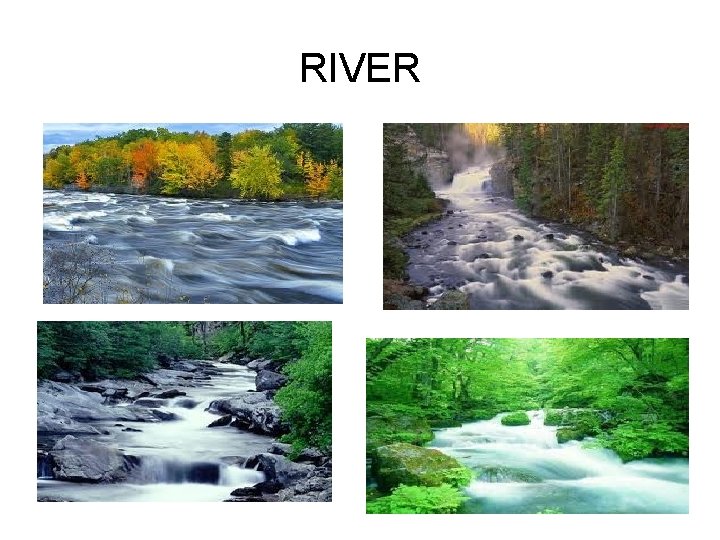 THE SEVEN CONTINENTS OF THE WORLD THE SEVEN