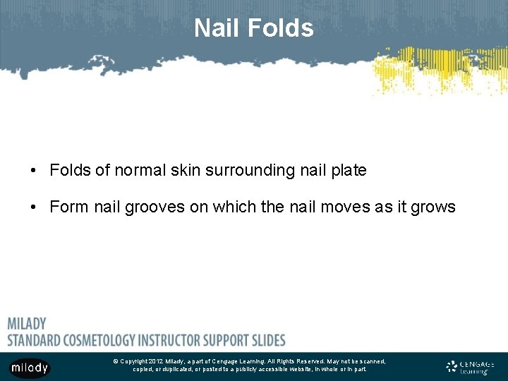 Chapter 9 Nail Structure and Growth Copyright 2012