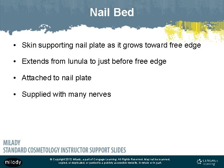 Chapter 9 Nail Structure and Growth Copyright 2012