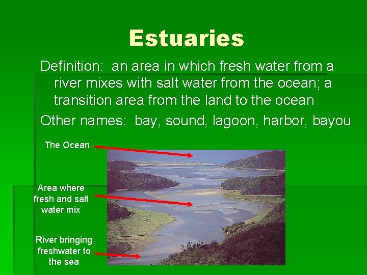 Marine Ecosystems Chapter 7 2 Natural Capital 2004