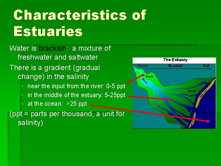Marine Ecosystems Chapter 7 2 Natural Capital 2004