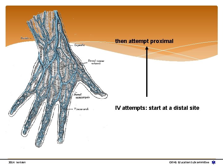 INTRAVENOUS CATHETERIZATION PART 2 Mike Muir AEMCA ACP