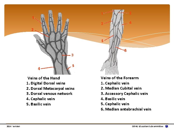 INTRAVENOUS CATHETERIZATION PART 2 Mike Muir AEMCA ACP
