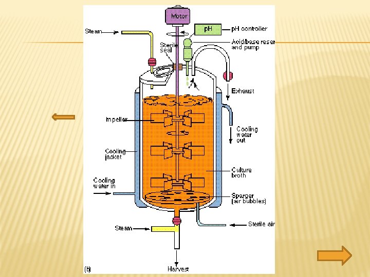 BIOREAKTOR DEFINISI BIOREAKTOR Suatu unit alat yang digunakan