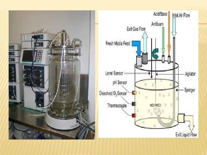 BIOREAKTOR DEFINISI BIOREAKTOR Suatu unit alat yang digunakan