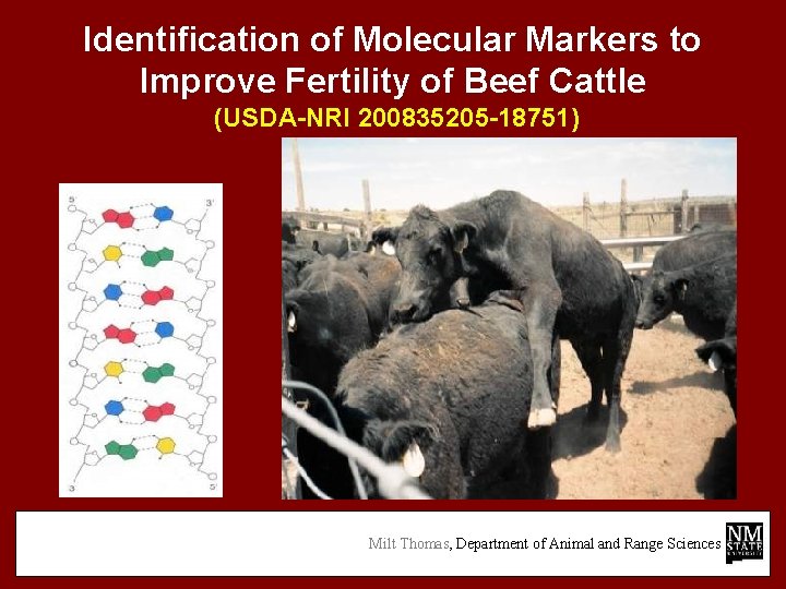 Identification of Molecular Markers to Improve Fertility of