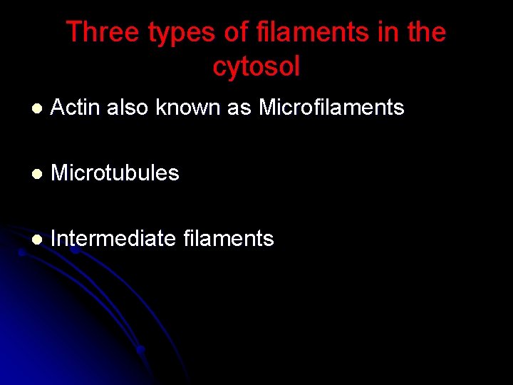 Chapter 5 Biomembranes and Cell Architecture By Anna