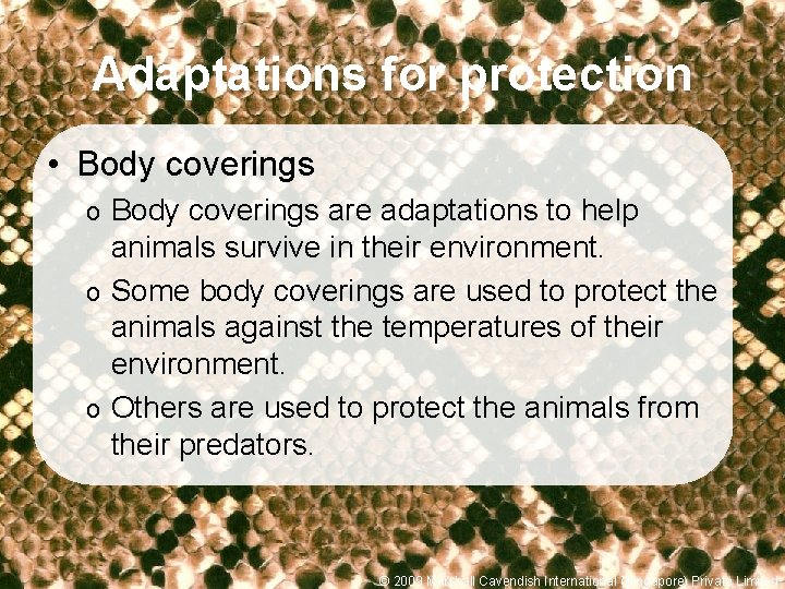 2009 Marshall Cavendish International Singapore Private Limited Questions