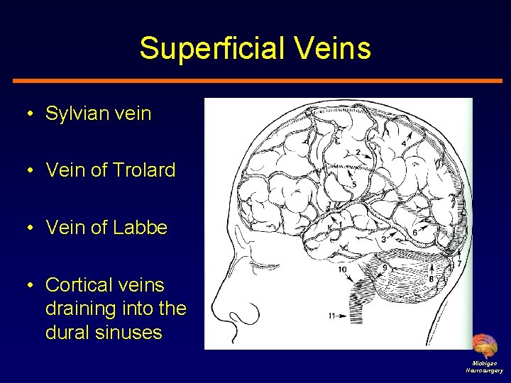 Cerebral Venous Anatomy L JS Yang August 14