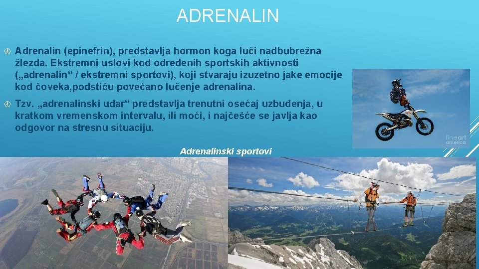 KAKO SPORSTKO REKREATIVNE AKTIVNOSTI DELUJU NA NASE HORMONE