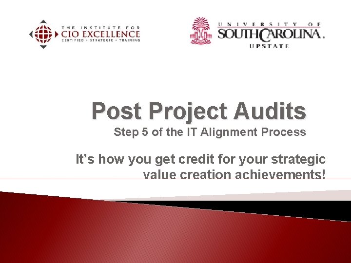 Post Project Audits Step 5 of the IT