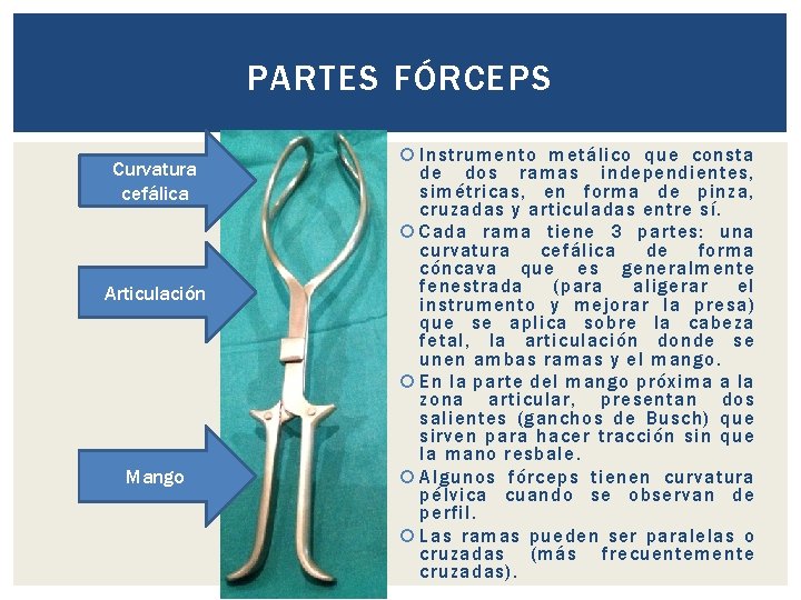 FRCEPS MNICA MORN CARREIRA MIR I HGU GREGORIO