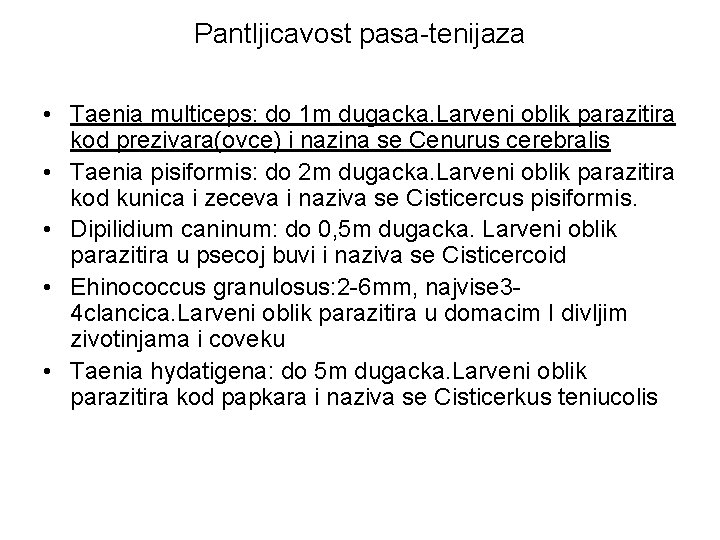 Pantljicavost pasatenijaza Taenia multiceps do 1 m dugacka