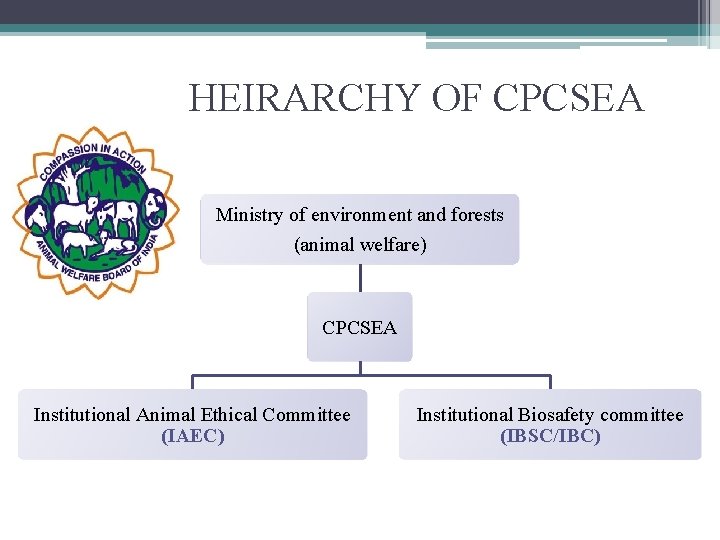 CPCSEA Committee for the Purpose of Control and
