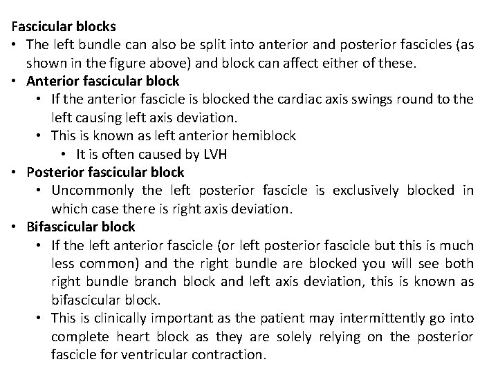 ECG EKG Interpretation As with all investigations the