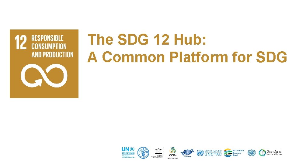 The SDG 12 Hub A Common Platform for