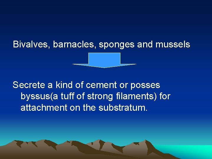 Adaptations of Animals in Rocky Shores Adaptations to