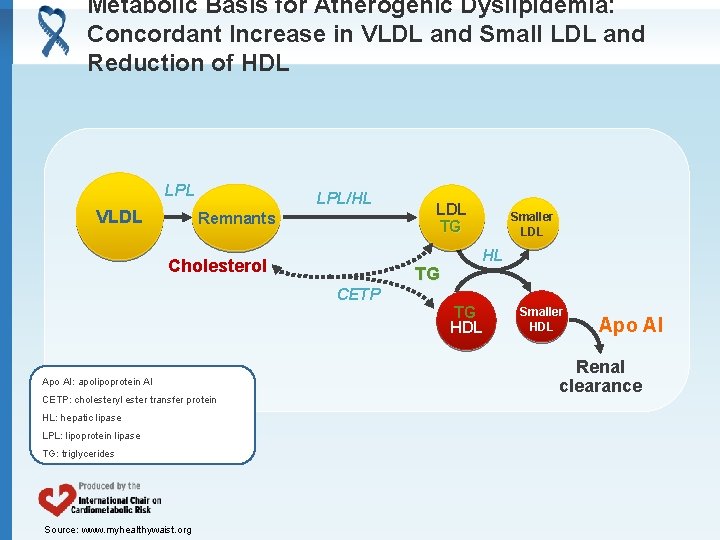 UPDATE ON MANAGEMENT OF ATHEROGENIC DYSLIPIDEMIA OF INSULIN