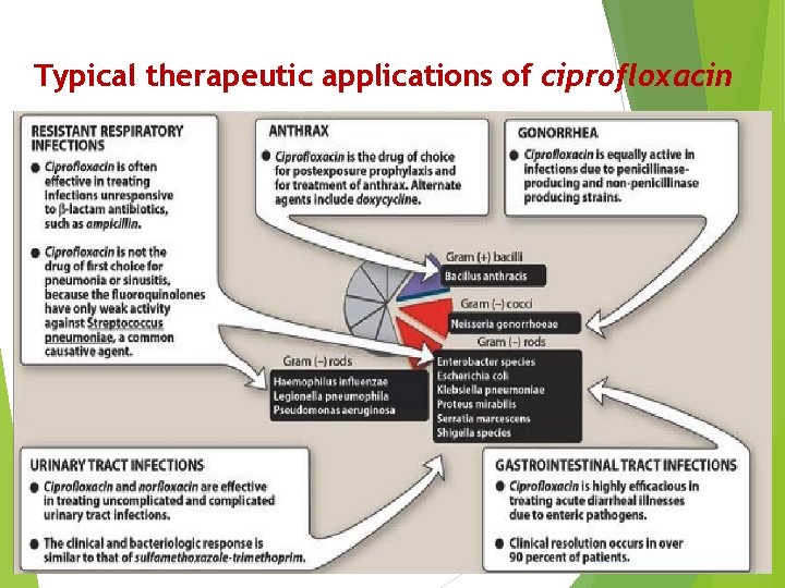 Types of Antimicrobial Agents Protein Synthesis Inhibitors 7