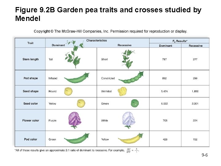 Chapter 9 Patterns of Genetic Inheritance Copyright The