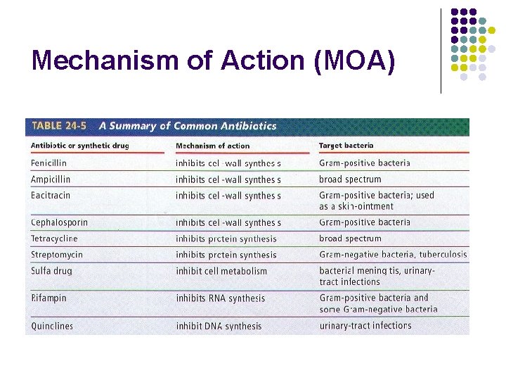 Chemotherapeutic Agents Antimicrobials and Antibiotics Normal Microbiota l