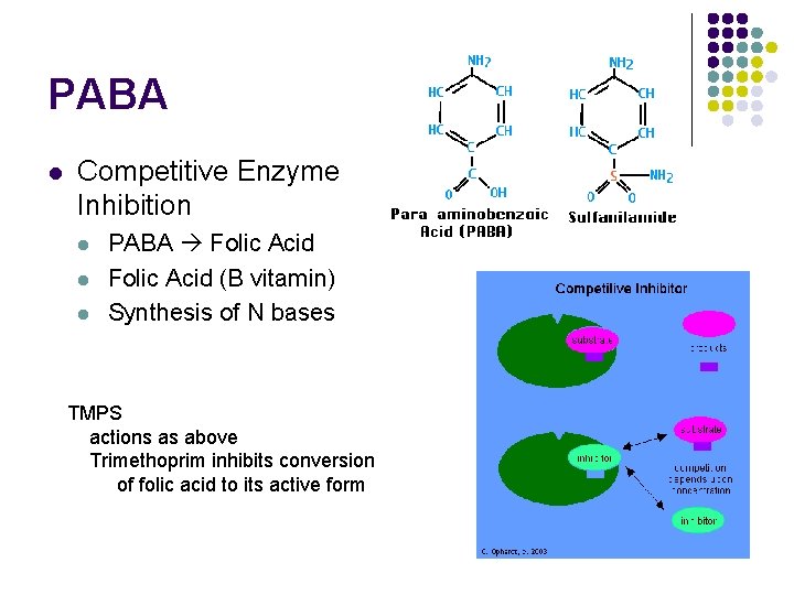 Chemotherapeutic Agents Antimicrobials and Antibiotics Normal Microbiota l