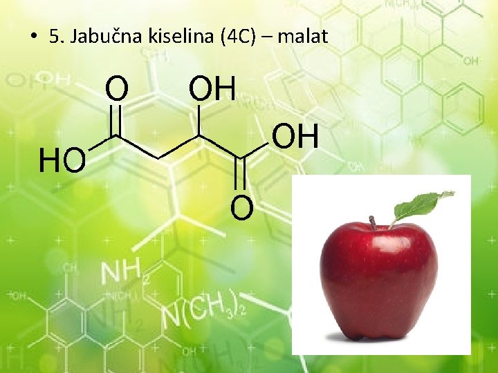 KREBSOV CIKLUS Krebsov ciklus ciklus limunske kiseline ciklus