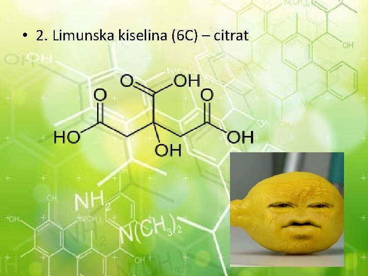 KREBSOV CIKLUS Krebsov ciklus ciklus limunske kiseline ciklus
