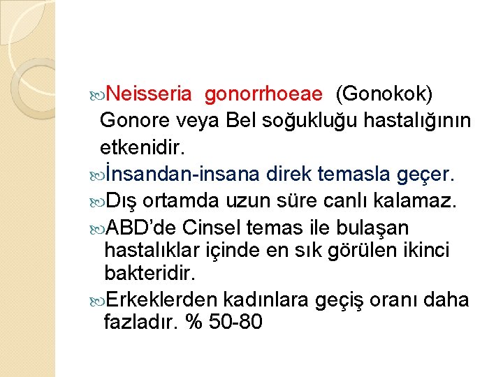 NEISSERIA Prof Dr Devran Gereker Neisseriaceae ailesi iinde