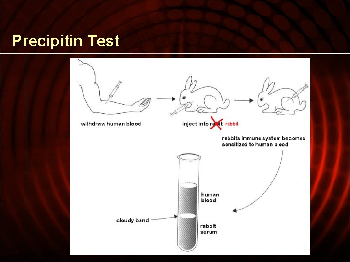 Forensic Serology Identification Using Blood Groups This presentation