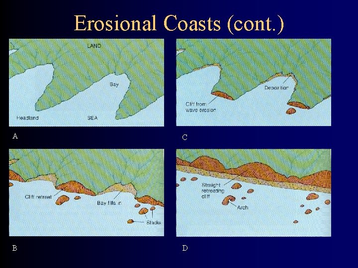 Waves Beaches and Coasts Prepared by Betsy Conklin