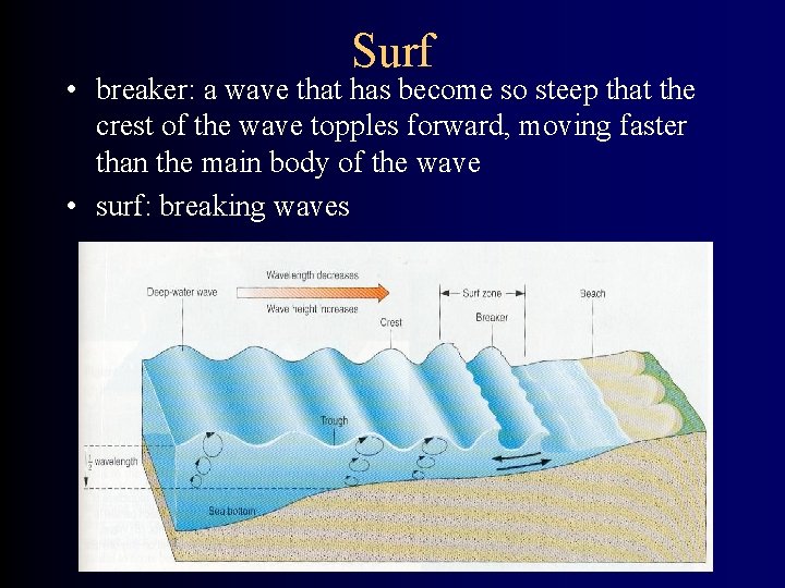 Waves Beaches and Coasts Prepared by Betsy Conklin