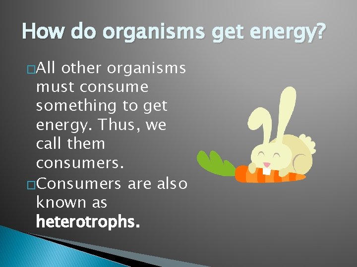 Bell Ringer Pop Quiz Today Energy Flow How