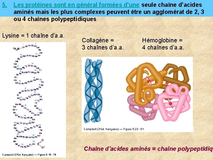 volution et Diversit du Vivant 101 NYA05 Cours