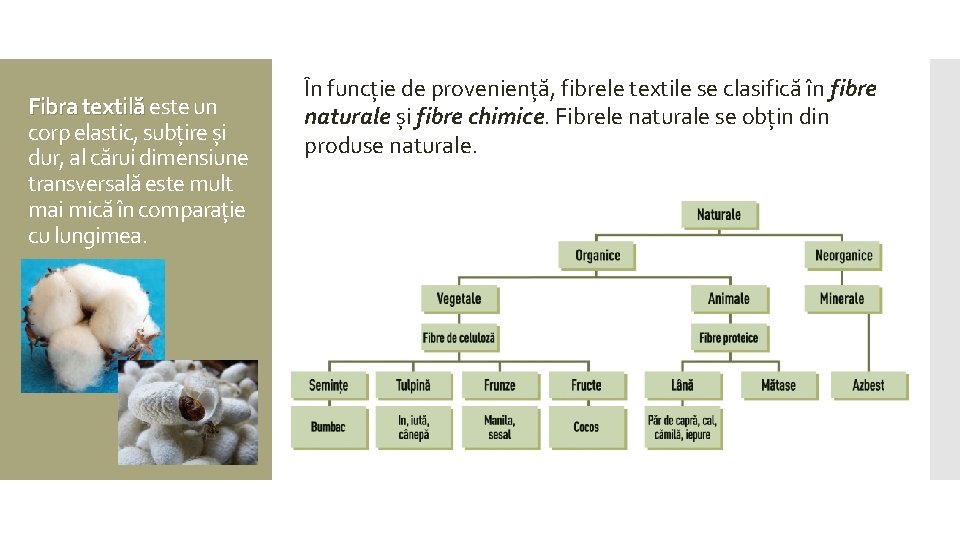 FIBRE TEXTILE I FIRE Clasificarea i proprietile fibrelor