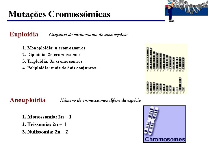 Mutao e Reparao do DNA Aspectos Conceituais e