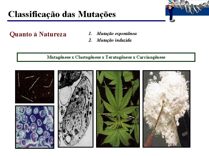 Mutao e Reparao do DNA Aspectos Conceituais e