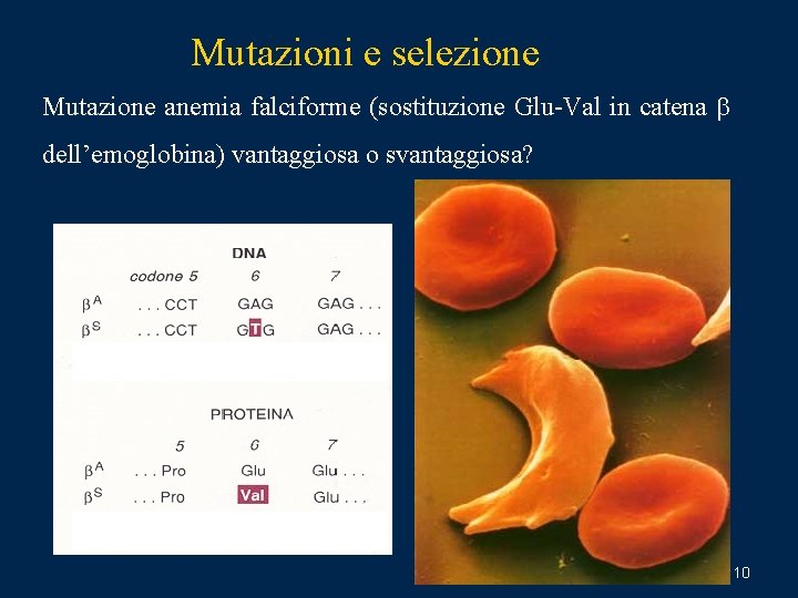 LE MUTAZIONI 1 Mutazione Qualsiasi cambiamento PERMANENTE del