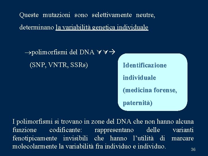 LE MUTAZIONI 1 Mutazione Qualsiasi cambiamento PERMANENTE del