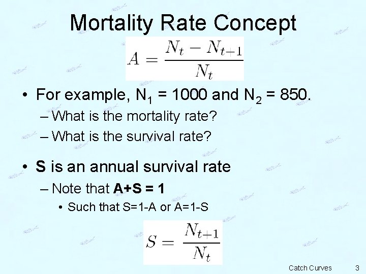 Estimation of Mortality Natural Mortality Recruitment Population Numbers