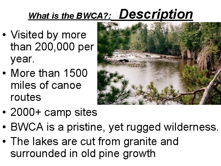 BWCA Boundary Water Canoe Area By Steve Sewell