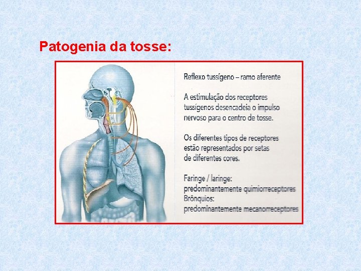 Diagnstico e tratamento do paciente com tosse aguda