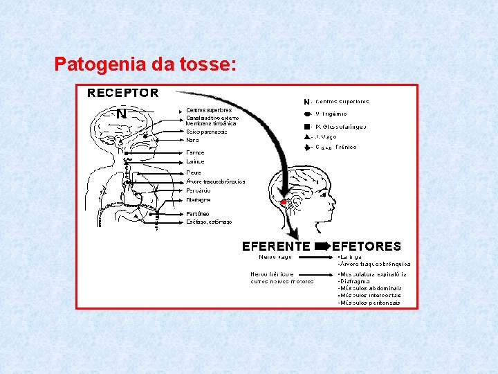 Diagnstico e tratamento do paciente com tosse aguda