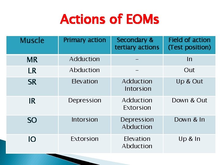 Strabismus The art of harmony Extraocular muscles Remember