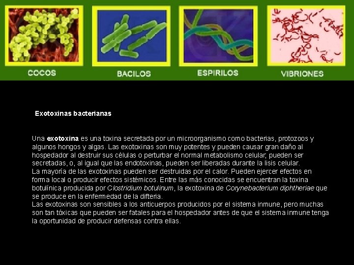 Microbiologa bucal Dr Jorge Luis Rivas Galindo Cultivo