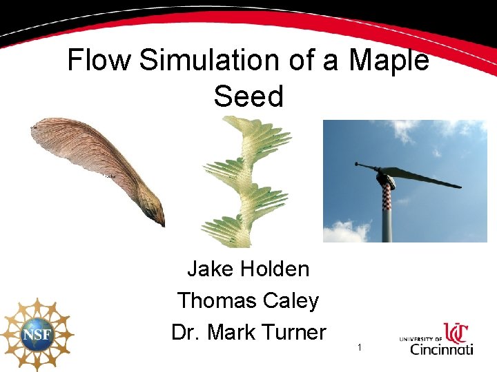 Flow Simulation of a Maple Seed Jake Holden