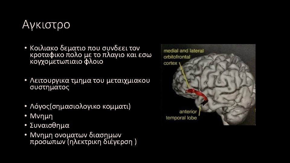 UNIVERSITY OF ATHENS EVANGELISMOS HOSPITAL NEUROSURGICAL ANATOMY LABORATORY