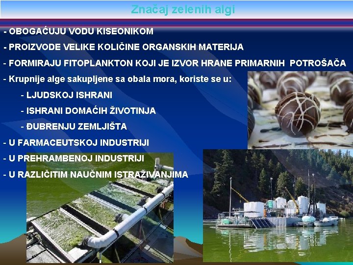 Zelene alge Mariana Oale Osobine Razmnoavanje Podela Znaaj